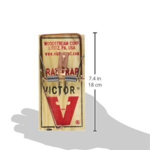 Victor M201 Rat Trap (Pack of 12)