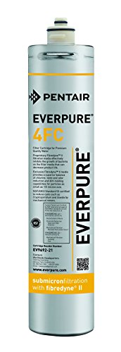 Everpure EV969221