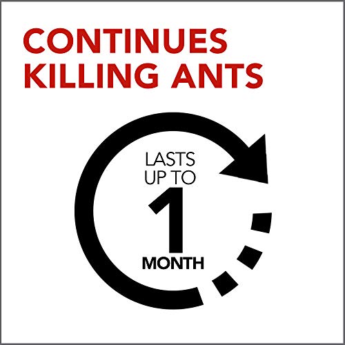 Raid Ant Gel, Kills Ants You Don't See, Continues Killing for up to 1 Month, Odorless Bug Control, 1.06 oz