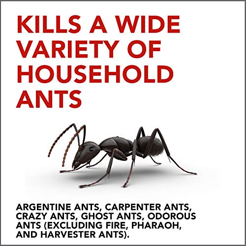 Raid Ant Gel, Kills Ants You Don't See, Continues Killing for up to 1 Month, Odorless Bug Control, 1.06 oz