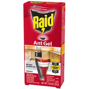 Raid Ant Gel, Kills Ants You Don't See, Continues Killing for up to 1 Month, Odorless Bug Control, 1.06 oz