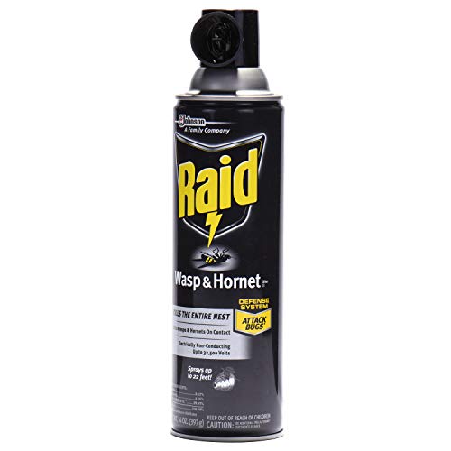 Raid Wasp & Hornet Killer Spray, 14 OZ (Pack - 3)