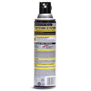 Raid Wasp & Hornet Killer Spray, 14 OZ (Pack - 3)