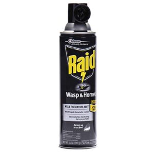 Raid Wasp & Hornet Killer Spray, 14 OZ (Pack - 3)