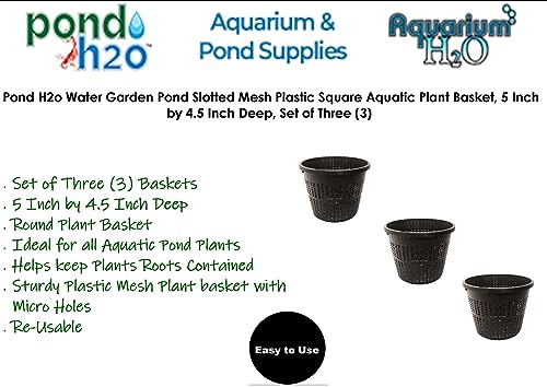 Pond H2o 5" Round Water Garden Pond Aquatic Plastic Mesh Slotted Plant Basket X 3 Pack, Plastic Water Garden Planting Basket Aquaponics, Hydroponics Slotted Mesh