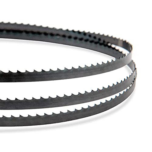 POWERTEC 62 Inch Bandsaw Blades for Woodworking, 3/8" x 6 TPI Band Saw Blades for POWERTEC, Ryobi, WEN, Grizzly, Skil and Sears Craftsman 9" Band Saw, 1 pack (13133)