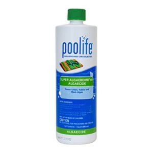 poolife super algae bomb 60 (1 qt)