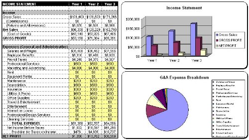 Business Plan for How To Start Online Auction Website Business MS Word/Excel