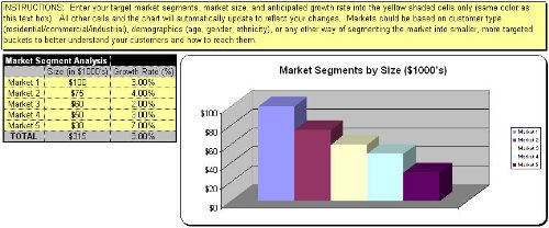 Business Plan for How To Start Online Auction Website Business MS Word/Excel