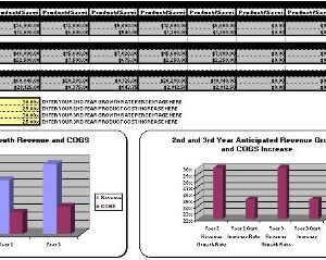 Business Plan for How To Start Online Auction Website Business MS Word/Excel