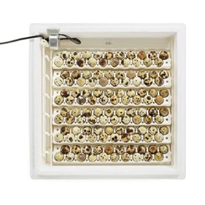 Farm Innovators 3400 Quail Rail Fits 120 Small Eggs, for 3400 Automatic Egg Turner, White (6 Pack)