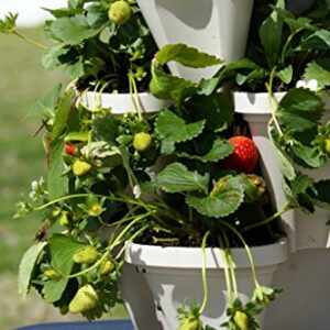 3 Tier Stackable Herb Garden Planter Set with Bottom Saucer - Stone Color - Vertical Container Pots for Herbs, Strawberries, Flowers