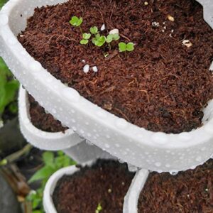 3 Tier Stackable Herb Garden Planter Set with Bottom Saucer - Stone Color - Vertical Container Pots for Herbs, Strawberries, Flowers