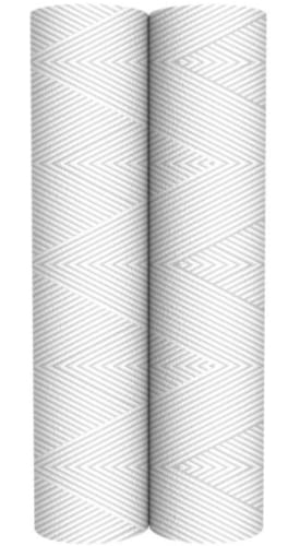 Pentair OMNIFilter RS12 Sediment Water Filter, 10-Inch, Standard Whole House String Wound Sediment Replacement Filter Cartridge, 10" x 2.5", 20 Micron, Pack of 2