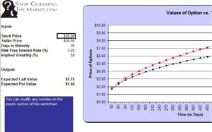 leaps option guide plus ms excel software