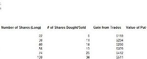 Equity Options Strategies Guide Plus MS Excel Software