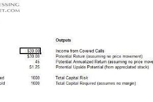 Equity Options Strategies Guide Plus MS Excel Software