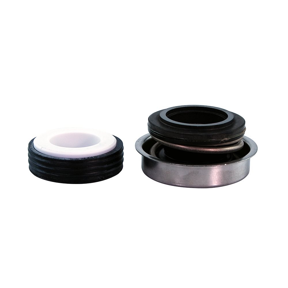 Pentair 071734S Seal Kit Replacement for Pool and Spa Pump