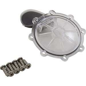 pentair 263042z 2-inch 2-way cpvc check valve replacement kit diverter pool and spa valve