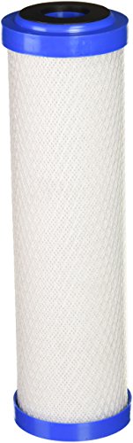 Watts Premier WP101013 Carbon Block Volatile Organic Chemicals (VOC) Replacement Water Filter, White