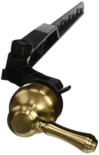 Delta Faucet 79760-CZ Cassidy Tank Lever-Standard Handle, Champagne Bronze