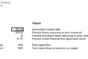 Option Arbitrage Guide Plus MS Excel Software