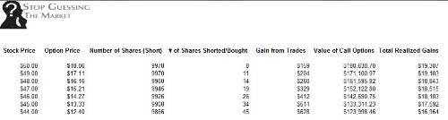 Put Option Guide Guide Plus MS Excel Software