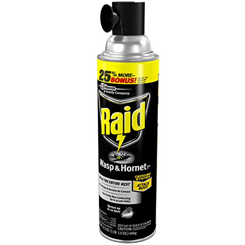 Raid Wasp and Hornet Killer, 17.5 OZ (Pack - 1)