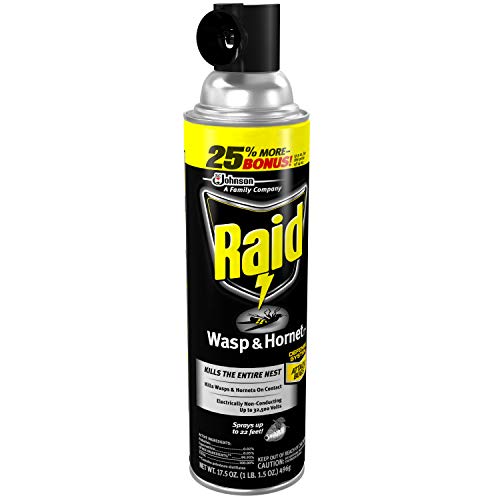 Raid Wasp and Hornet Killer, 17.5 OZ (Pack - 1)