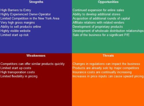 Online News Website SWOT Analysis Plus Business Plan