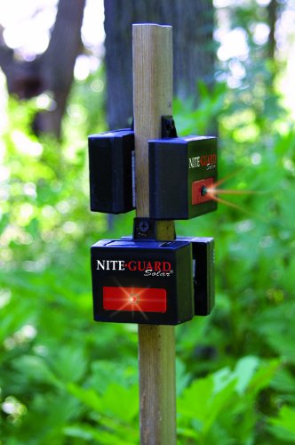 Nite Guard Solar Predator Control Light, (Pack of 4)