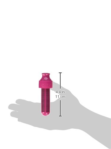 Bobble Replacement Filter, Magenta, 2-Pack