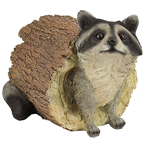 Design Toscano Bandit the Raccoon Indoor/Outdoor Garden Animal Statue, 7 Inches Wide, 10 Inches Deep, 7 Inches High, Handcast Polyresin, Full Color Finish