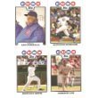 2008 topps chicago cubs complete team set (21 - baseball cards from both series 1 & 2) includes alfonso soriano, derrek lee, carlos zambrano and more !