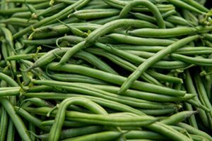 blue lake pole bean seeds - non-gmo - 2 ounces, approximately 175 seeds