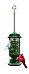 squirrel buster standard squirrel-proof bird feeder w/4 metal perches, 1.3-pound seed capacity, garden green