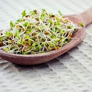 Spicy Mix of Sprouting Seeds, 2.5 Pounds - Broccoli, Radish, Alfalfa, Kosher, Raw