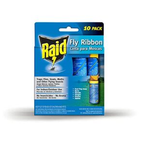 Raid FR10-RAID Fly Ribbon, 10 Count