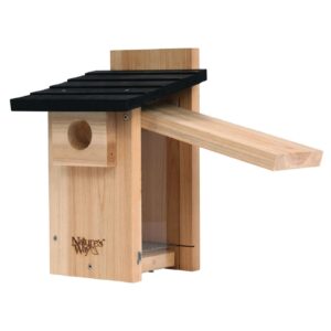 nature's way bird products cwh4 cedar bluebird viewing house