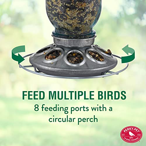 Perky-Pet 784 Mason Jar Wild Bird Feeder, No Size, Blue