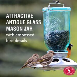 Perky-Pet 784 Mason Jar Wild Bird Feeder, No Size, Blue