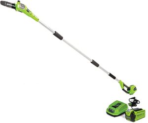 greenworks 40v 8" pole saw, 2.0ah battery (gen 1)