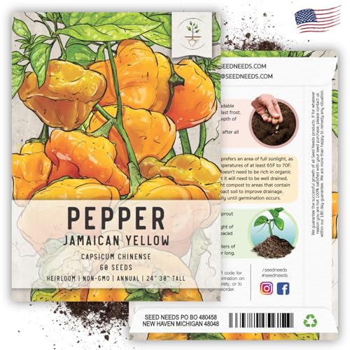 Seed Needs, Jamaican Yellow Hot Pepper Seeds for Planting (Capsicum chinense) Twin Pack of 60 Seeds Each - Heirloom, Non-GMO & Untreated