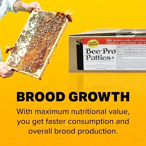 Mann Lake Bee-Pro Patties with Pro Health, Ready-to-Feed High Protein Pollen Substitute, Beekeeping Supplies, 10 lb