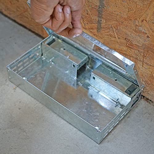 Southern Homewares - SH-10059-2PK Itrap Multi-Catch Clear Top Humane Repeater Mouse Trap, 2 Pack