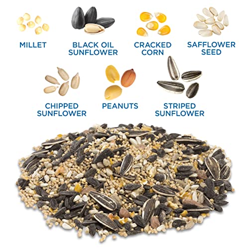 Audubon Park Songbird Blend Wild Bird Food, Bird Food for Outside Feeders, 14-Pound Bag