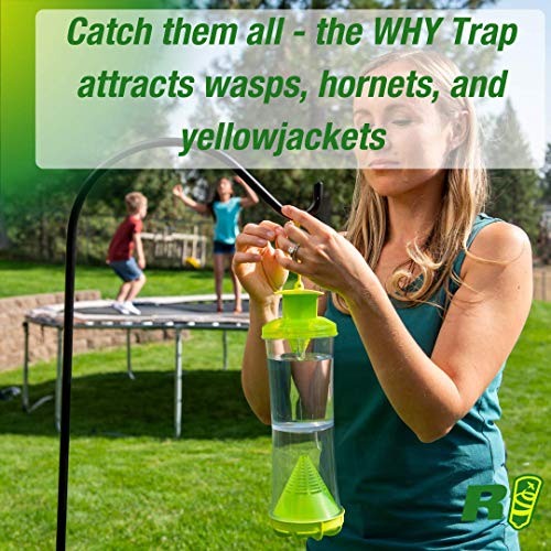 RESCUE! Non-Toxic Wasp, Hornet, Yellowjacket Trap (WHY Trap) Attractant Refill - 2 Week Refill - 16 Pack