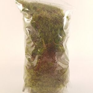 EZ-Botanicals Fresh Mood Moss Perfect for Terrariums and Bonsai