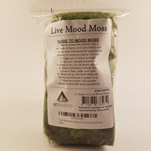 EZ-Botanicals Fresh Mood Moss Perfect for Terrariums and Bonsai