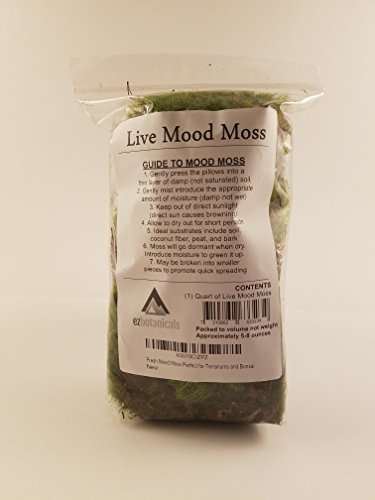 EZ-Botanicals Fresh Mood Moss Perfect for Terrariums and Bonsai